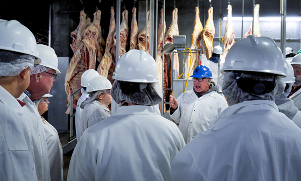 Production Supervisor - Thor Global Talent